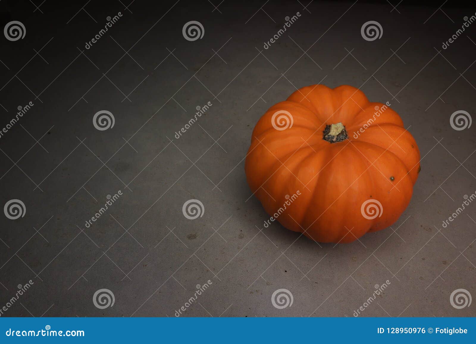 Single pumpkin stock photo. Image of halloween, october - 128950976