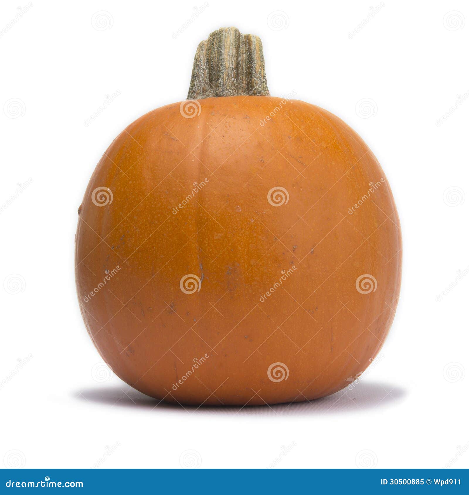 Single Pumpkin on White Background Stock Image - Image of orange, food ...