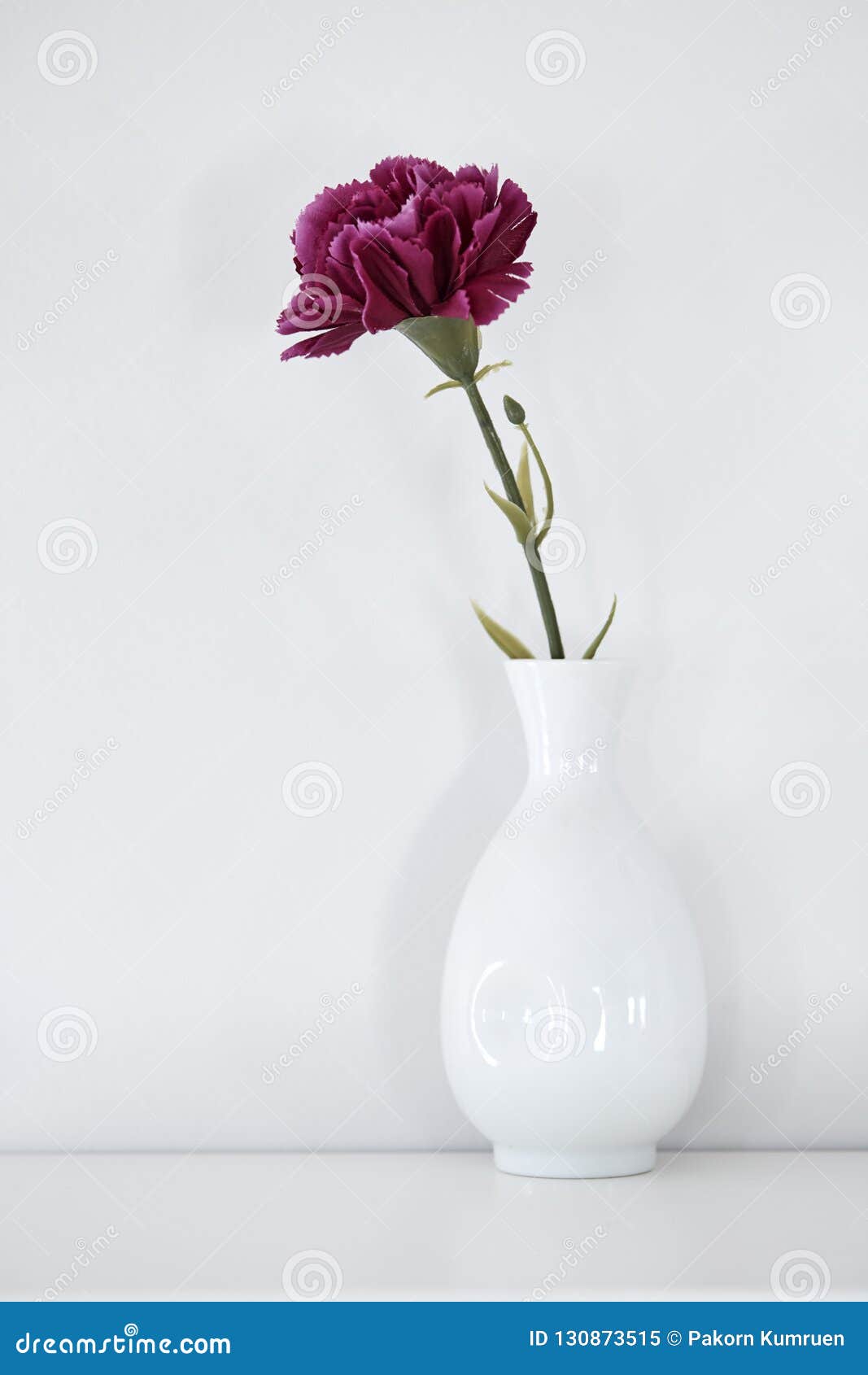 Single Purple Carnation in Vase Stock Image - Image of green, flower ...
