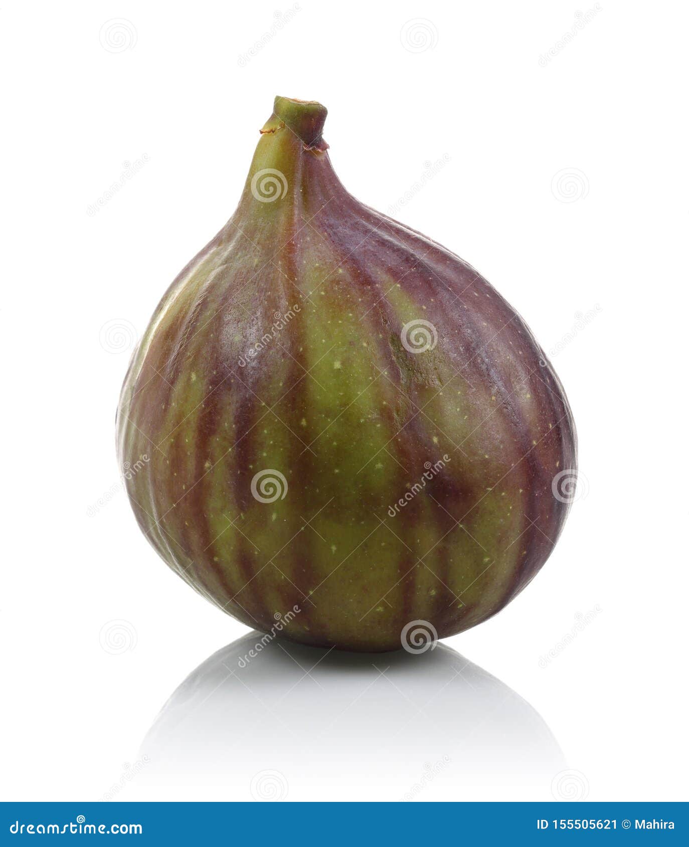 Single Purple Fig Fruit Isolated on White Stock Image - Image of ...