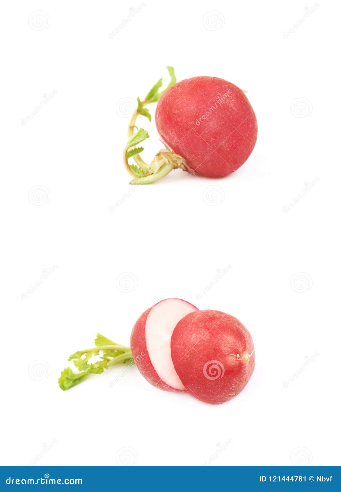 Single radish isolated stock image. Image of purple - 121444781