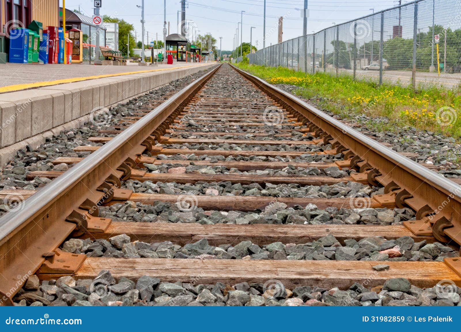 Single railway track stock image. Image of flowers, ties - 31982859