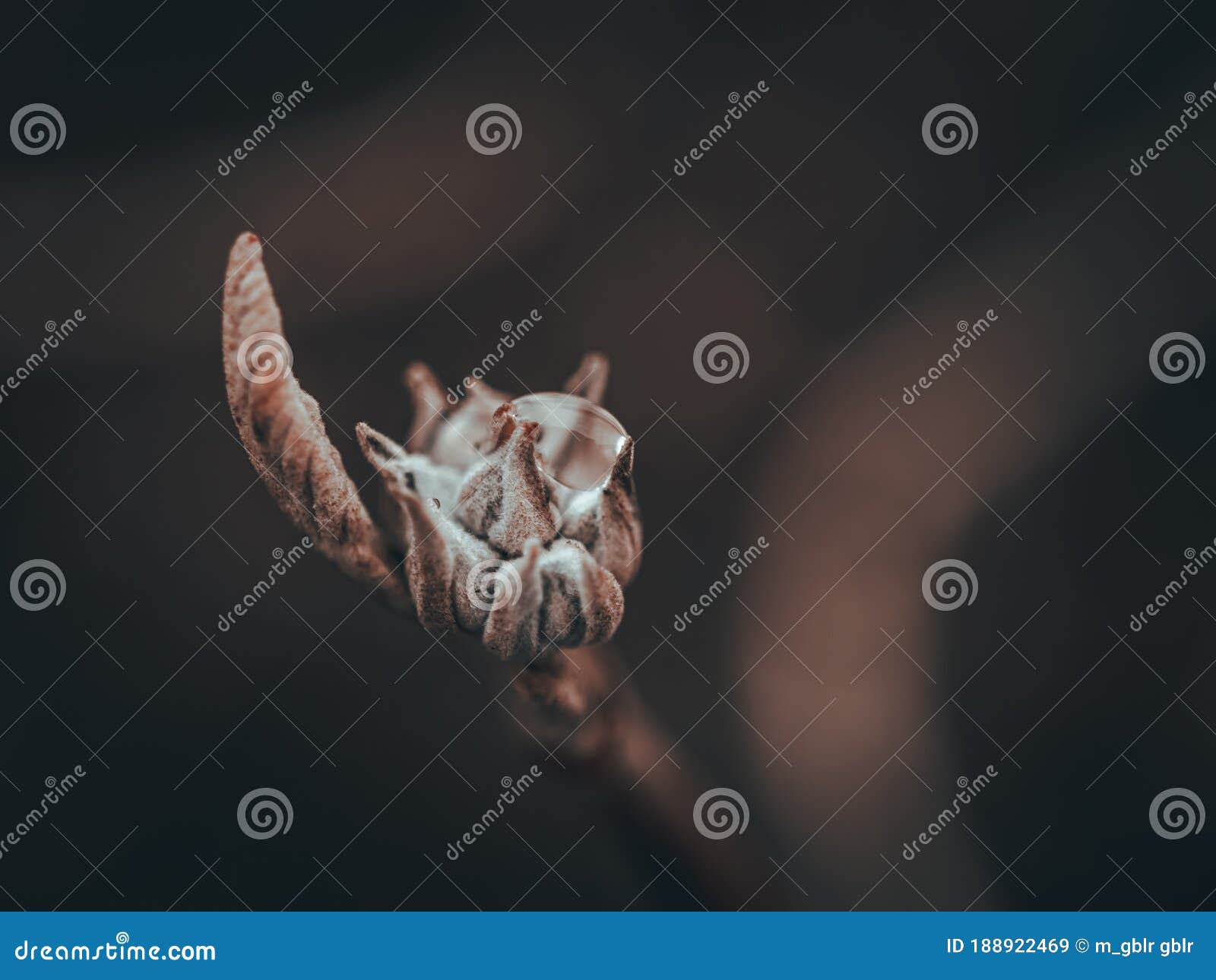 Fast Shutter Wave Detail Stock Photography | CartoonDealer.com #170818190