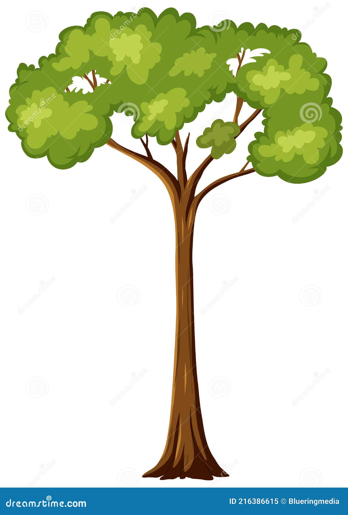 Single Rainforest Tree Isolated on White Background Stock Vector ...