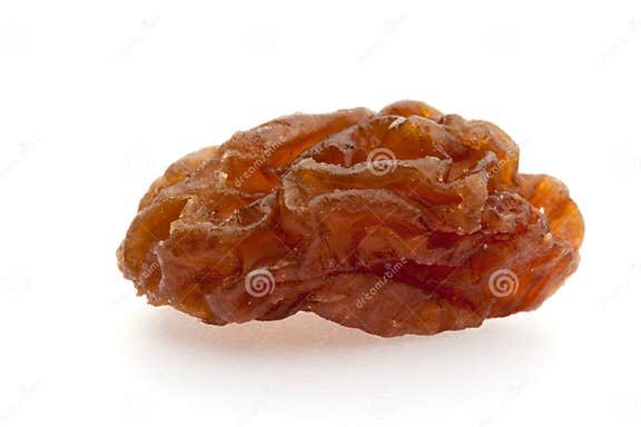 Single raisin on white stock image. Image of sultana - 25947707