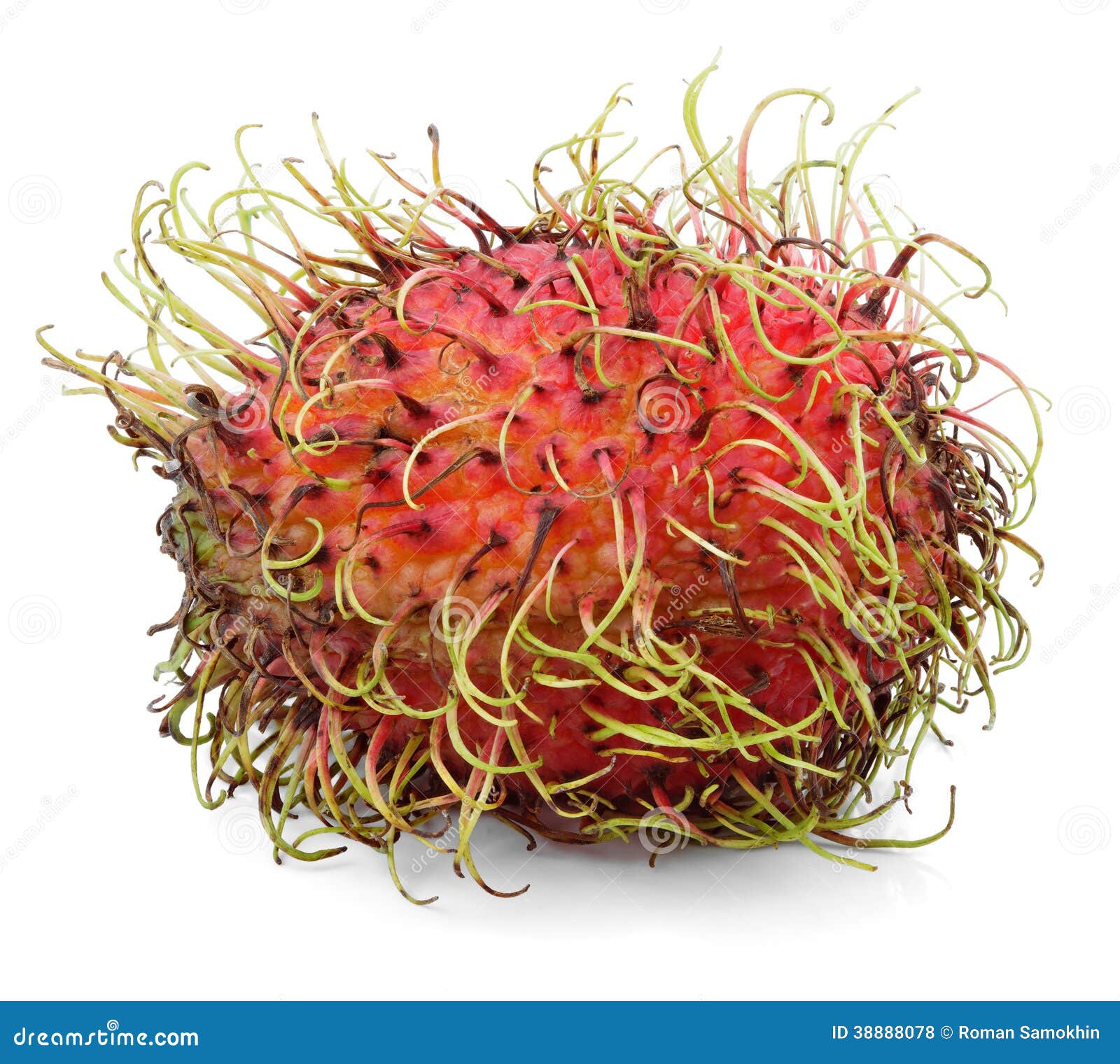 Single Rambutan Fruit Isolated On White Stock Photo - Image: 38888078