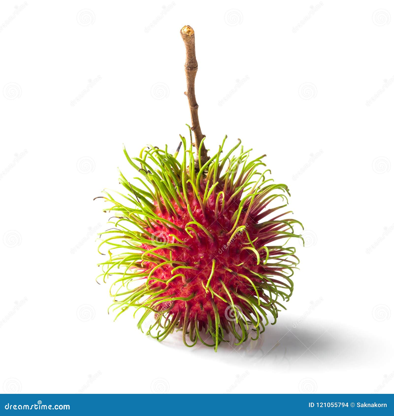Single rambutan isolated stock photo. Image of close - 121055794