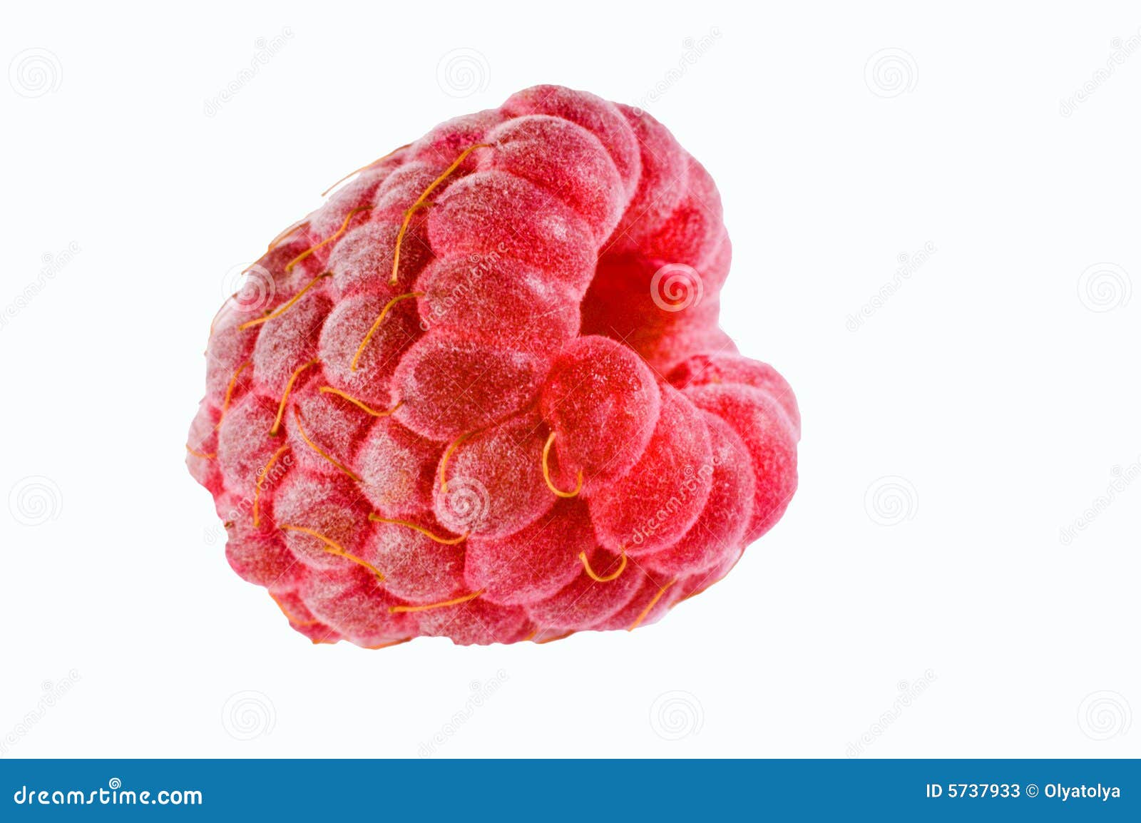 Single Rasberry Stock Photos - Free & Royalty-Free Stock Photos from ...