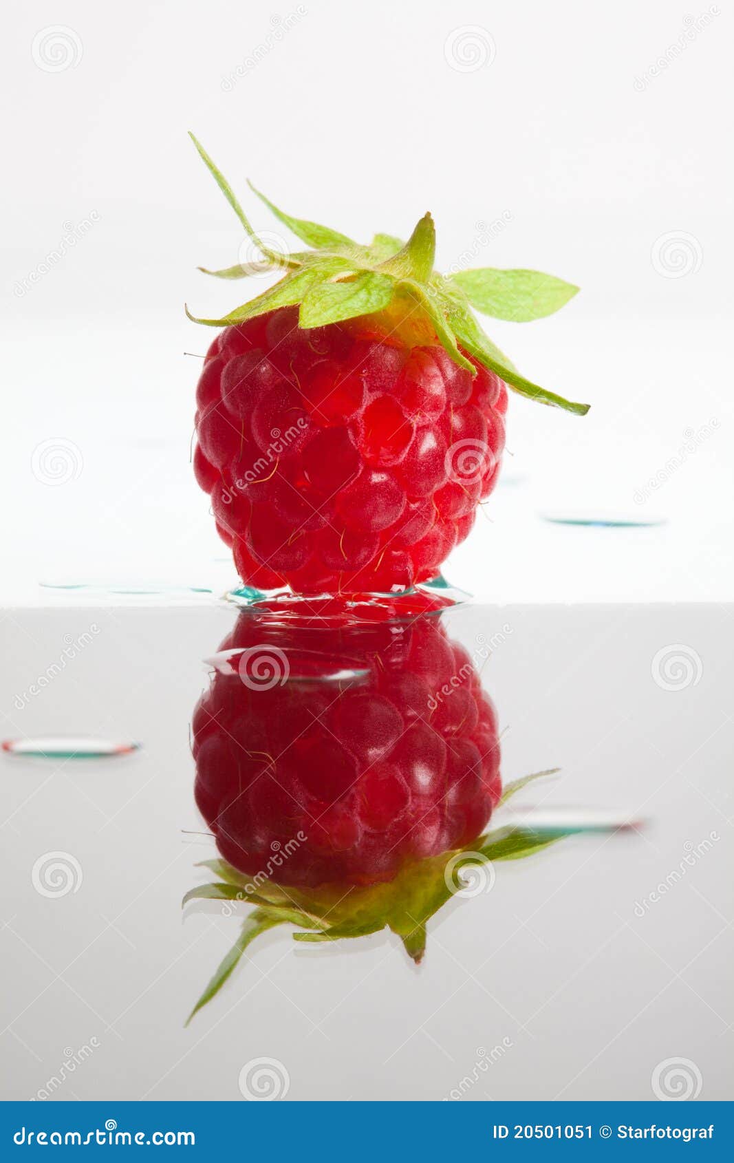Single raspberry stock image. Image of fruit, studio - 20501051