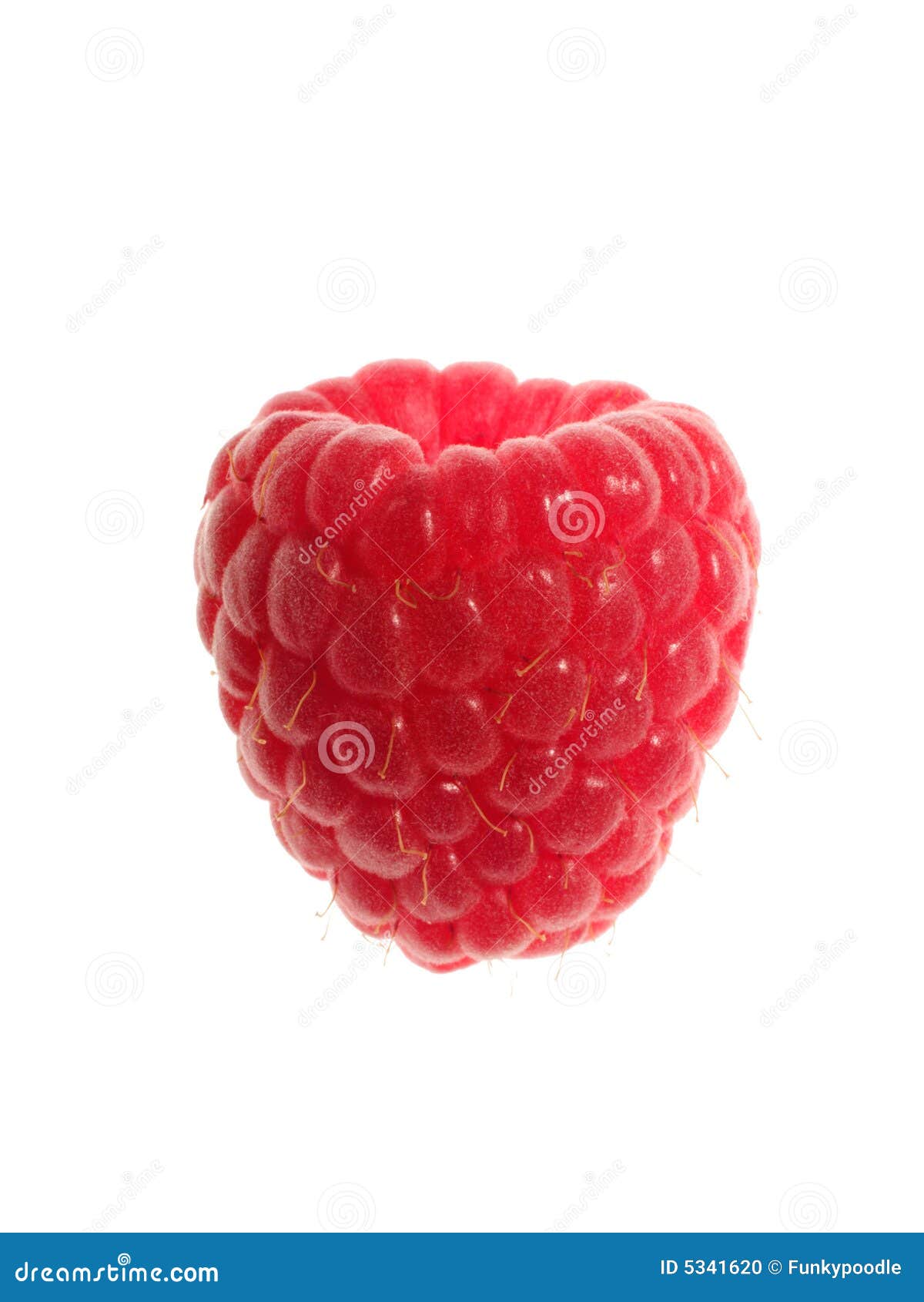Single Raspberry