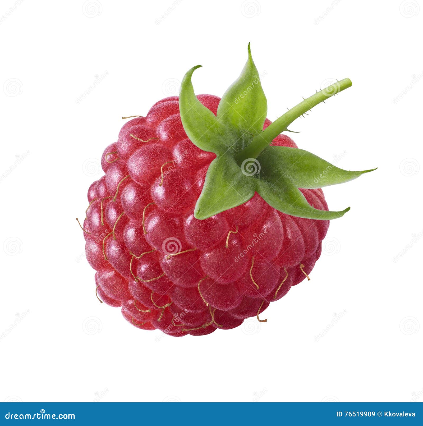 Single Raspberry Berry As Package Design Element Stock Image - Image of ...