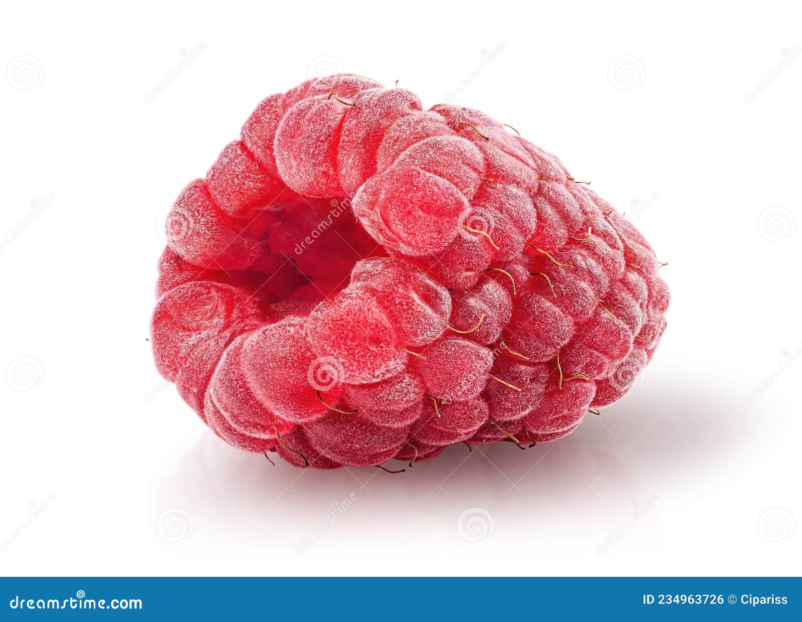 Single Raspberry Berry Isolated on a White Stock Photo - Image of ...