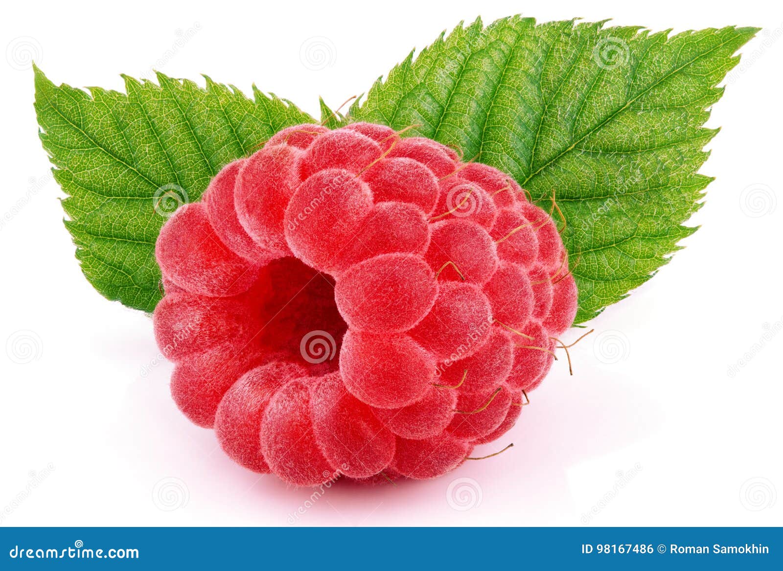 Single Raspberry Blurred Green Background Royalty-Free Stock Photo ...