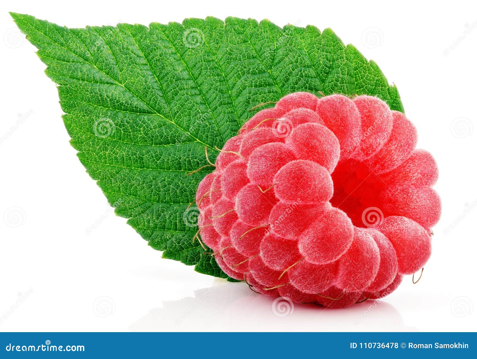 Single Raspberry Fruit with Green Leaves Isolated on White Stock Photo ...