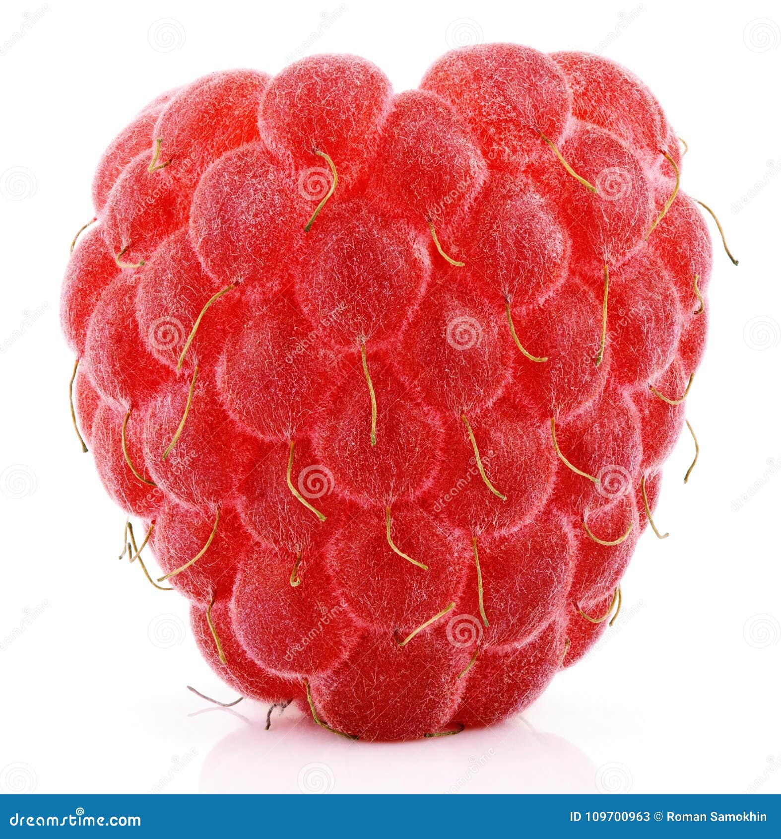 Single Raspberry Blurred Green Background Royalty-Free Stock Photo ...