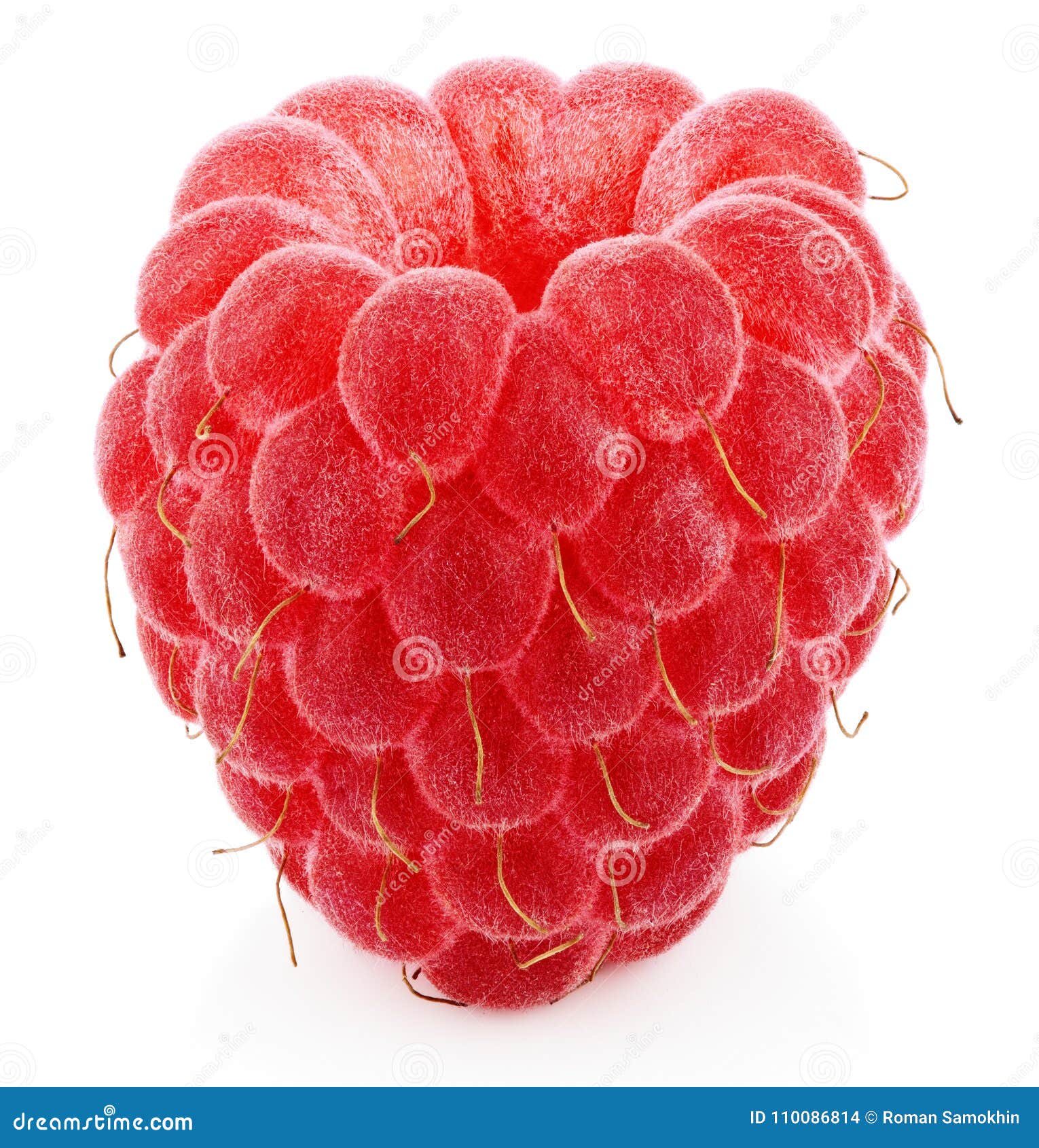 Single Raspberry Blurred Green Background Royalty-Free Stock Photo ...