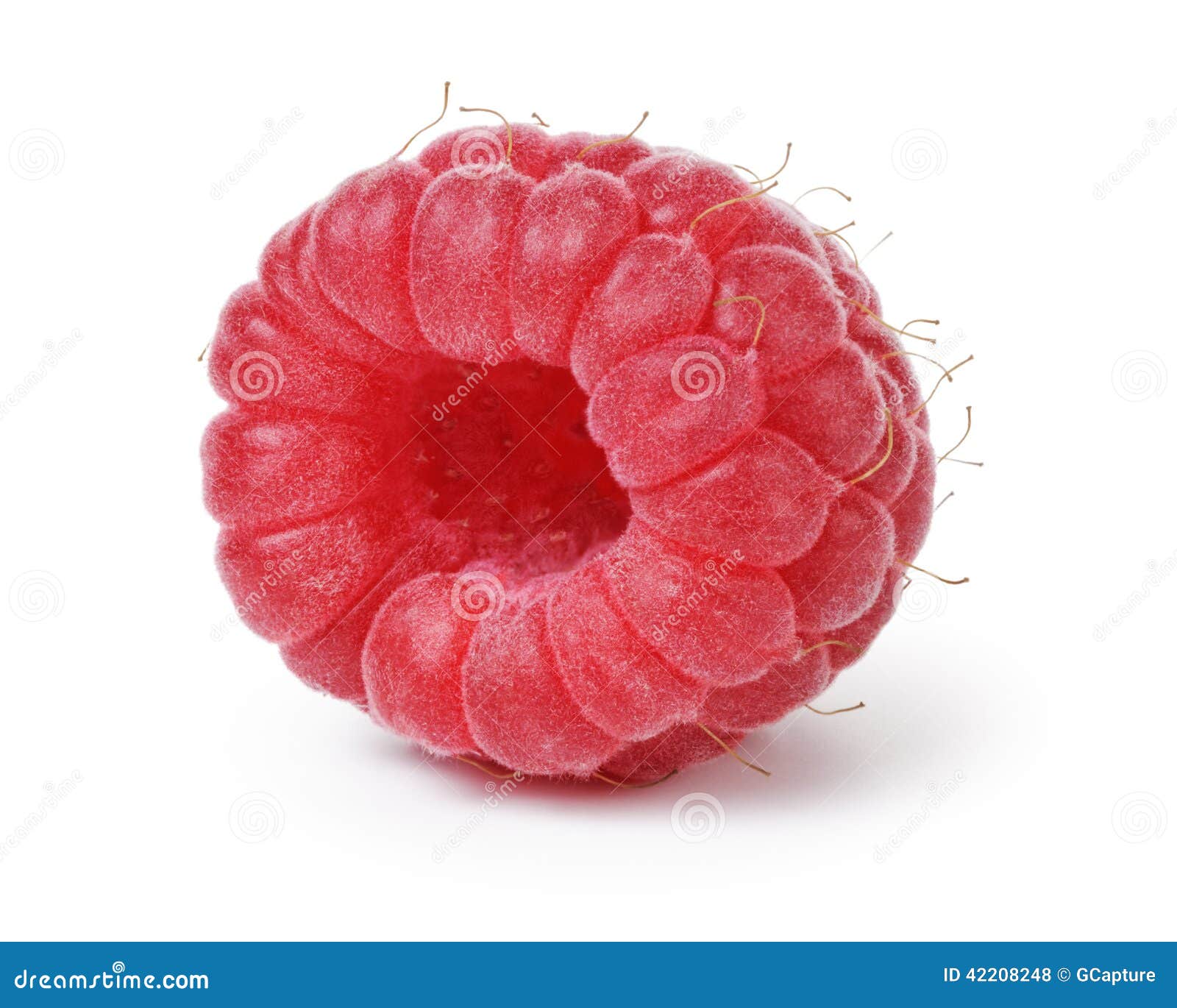 Single Raspberry High Detailed Stock Photo - Image of summer, isolated ...