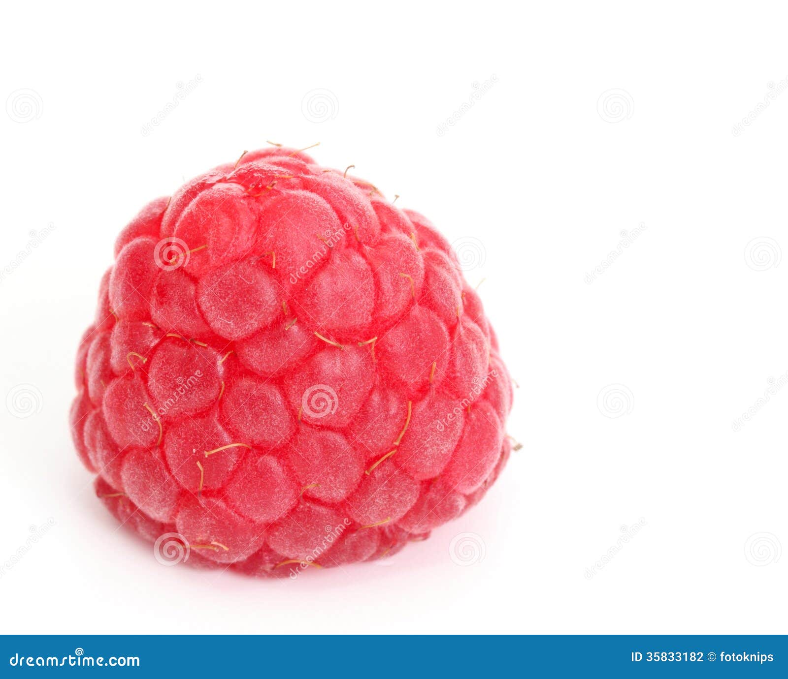 Single Raspberry isolated stock photo. Image of vitamins - 35833182