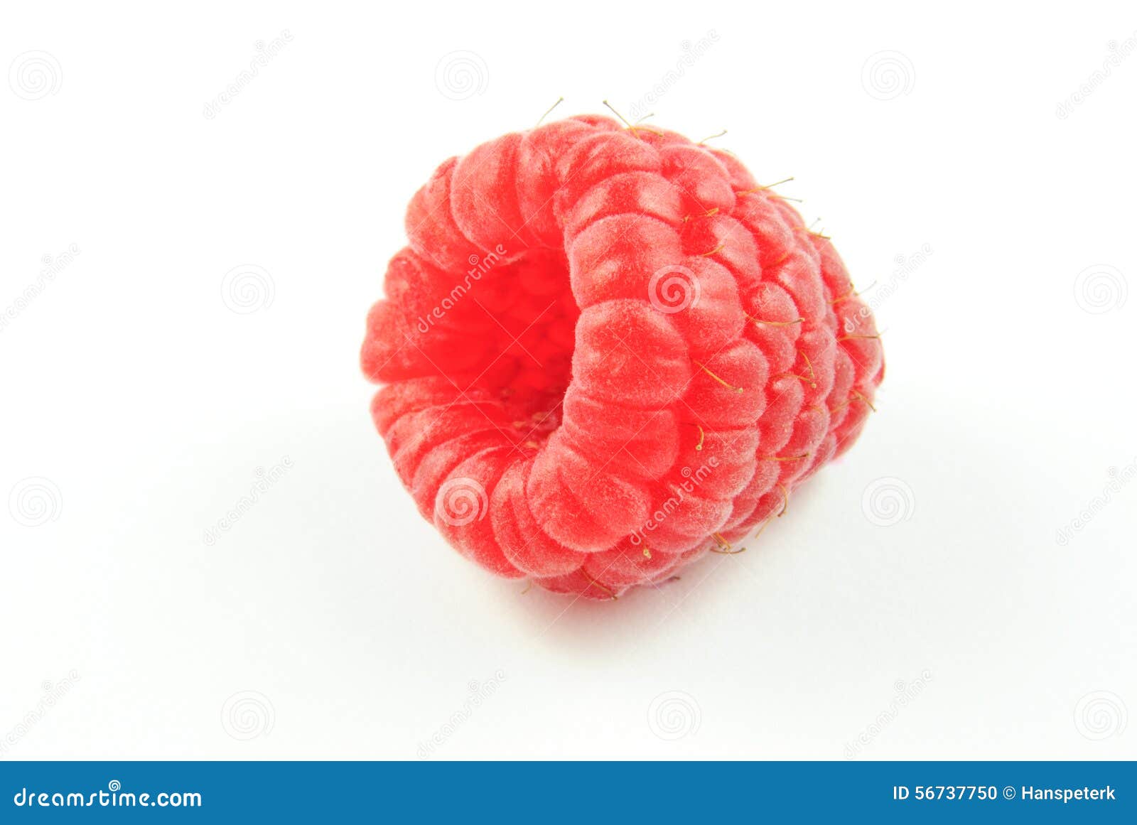 Single Raspberry on White Background Stock Photo - Image of delicious ...