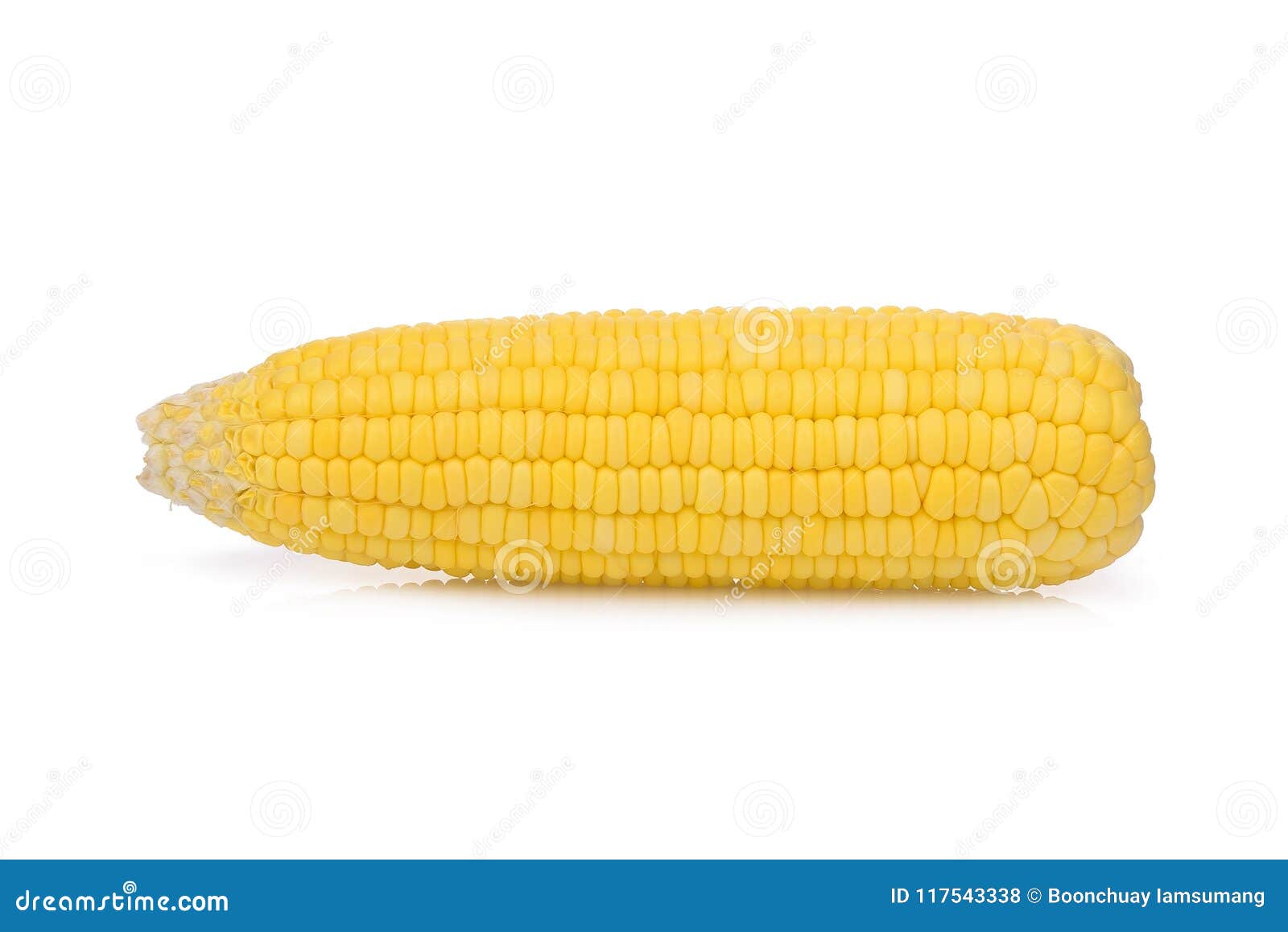 Single Raw Corn Isolated on White Stock Photo - Image of single, maize ...