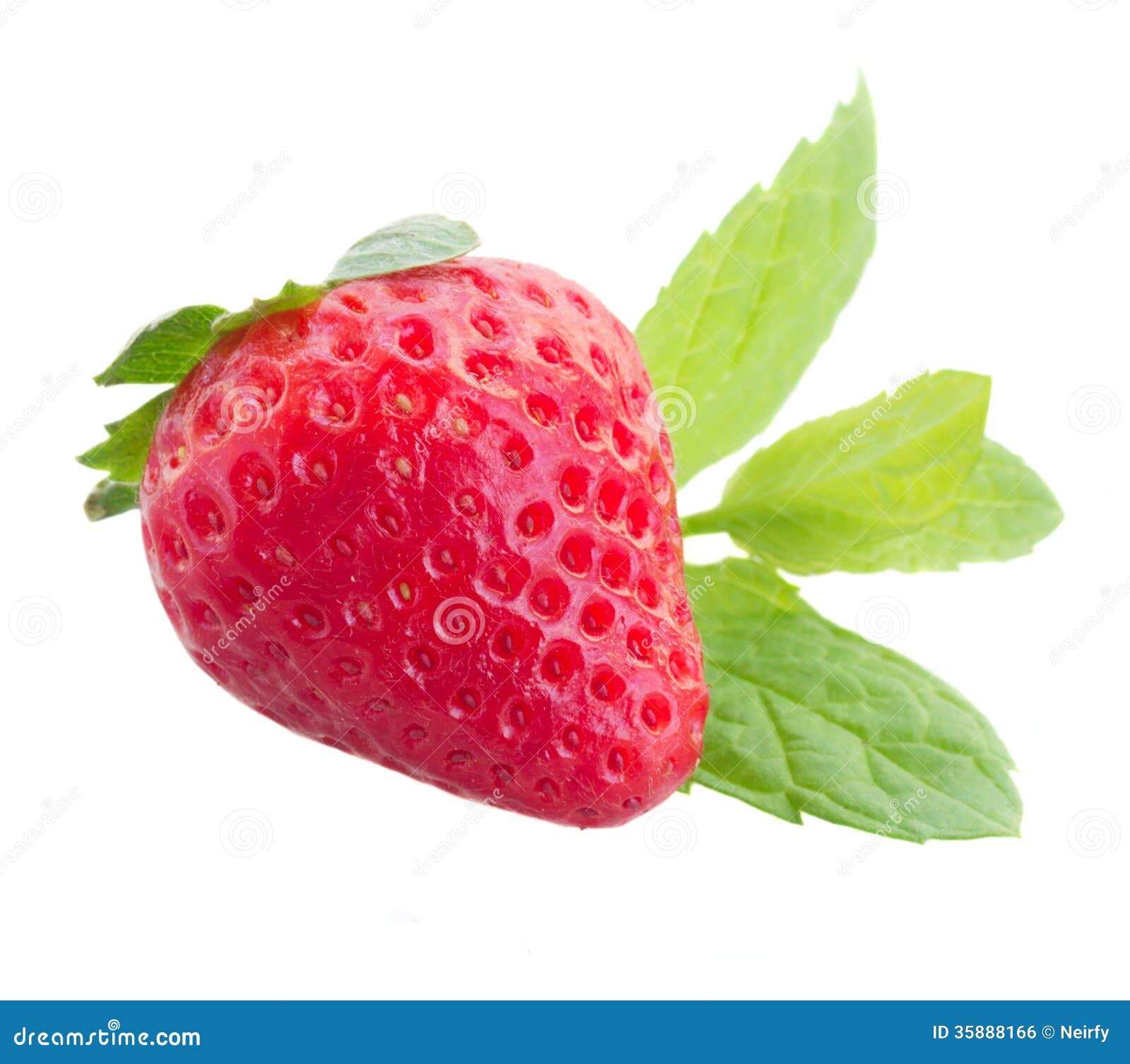 Single raw strawberry stock photo. Image of delicious - 35888166