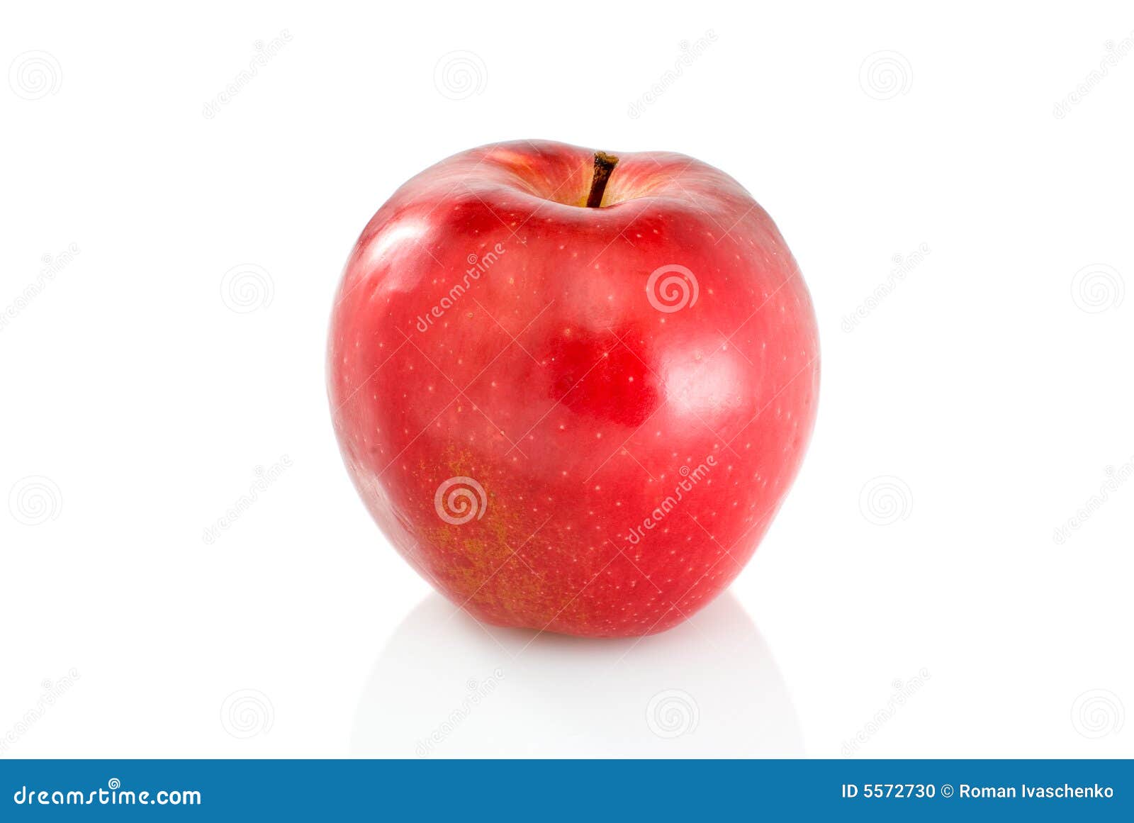 Single red apple stock photo. Image of ripe, food, fruit - 5572730