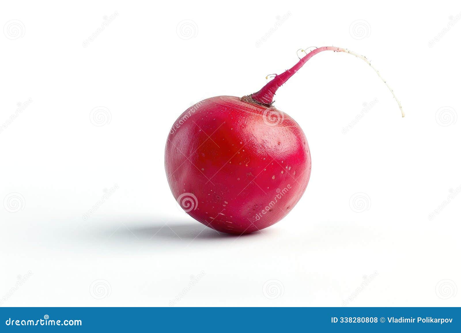A Single Red Apple with the Stem Still Intact, Ready for Eating or ...
