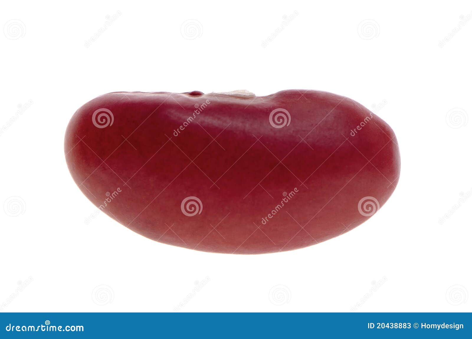 Single red bean stock image. Image of vegetarian, close - 20438883