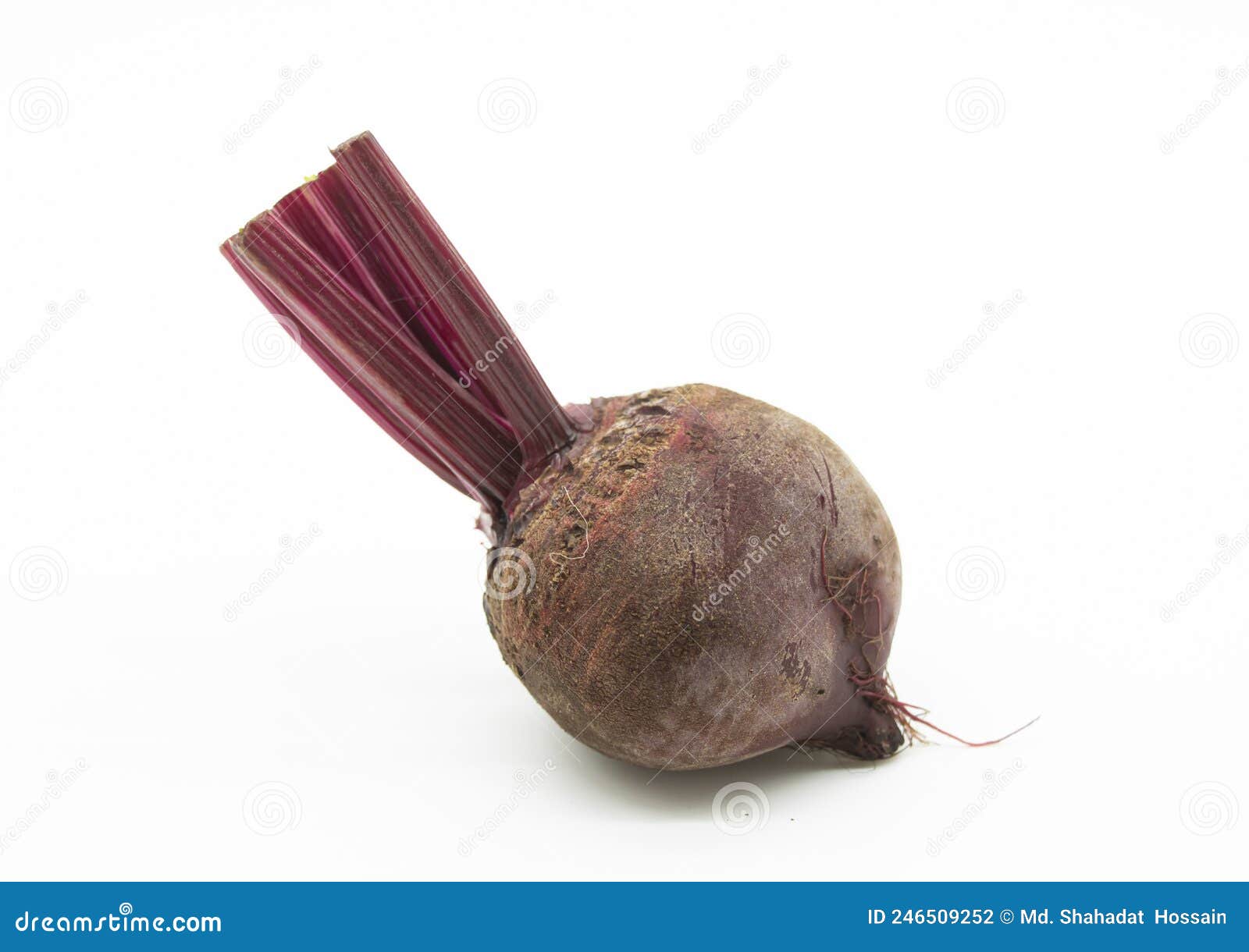 Single Red Beets or Beetroots on White Background Stock Photo - Image ...