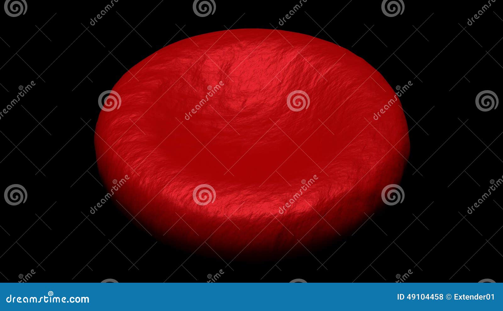 Single Red Blood Cell