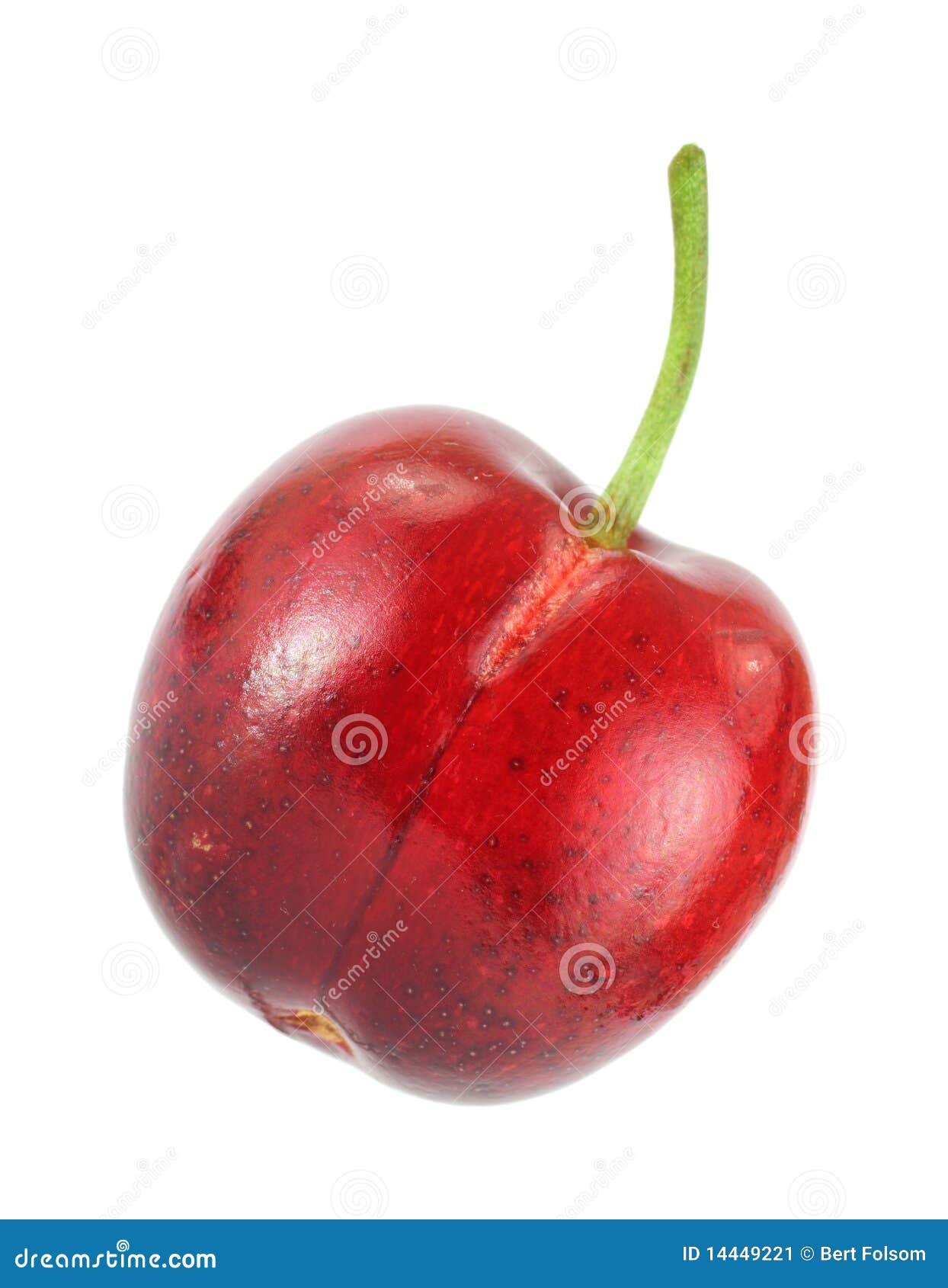 Single red cherry stock image. Image of stem, fruit, flavor - 14449221