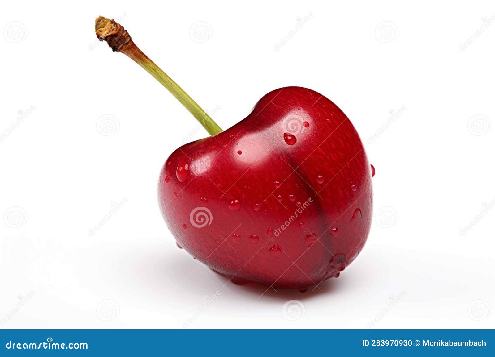 Single Red Cherry Fruit on White Background Stock Illustration ...