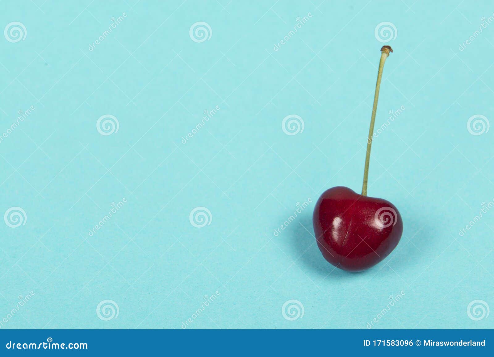 Single Red Cherry with Stem on a Blue Background Stock Photo - Image of ...