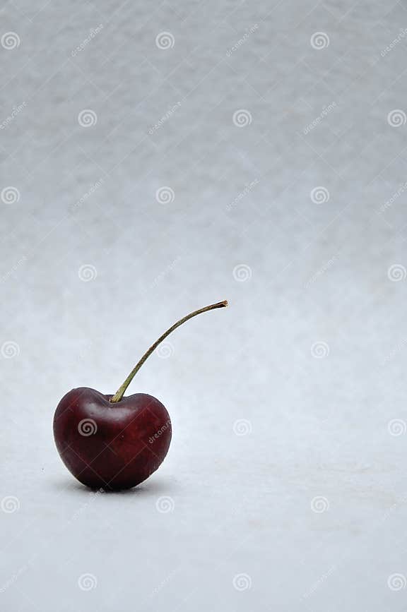 A single red cherry stock image. Image of stem, tasty - 144475533