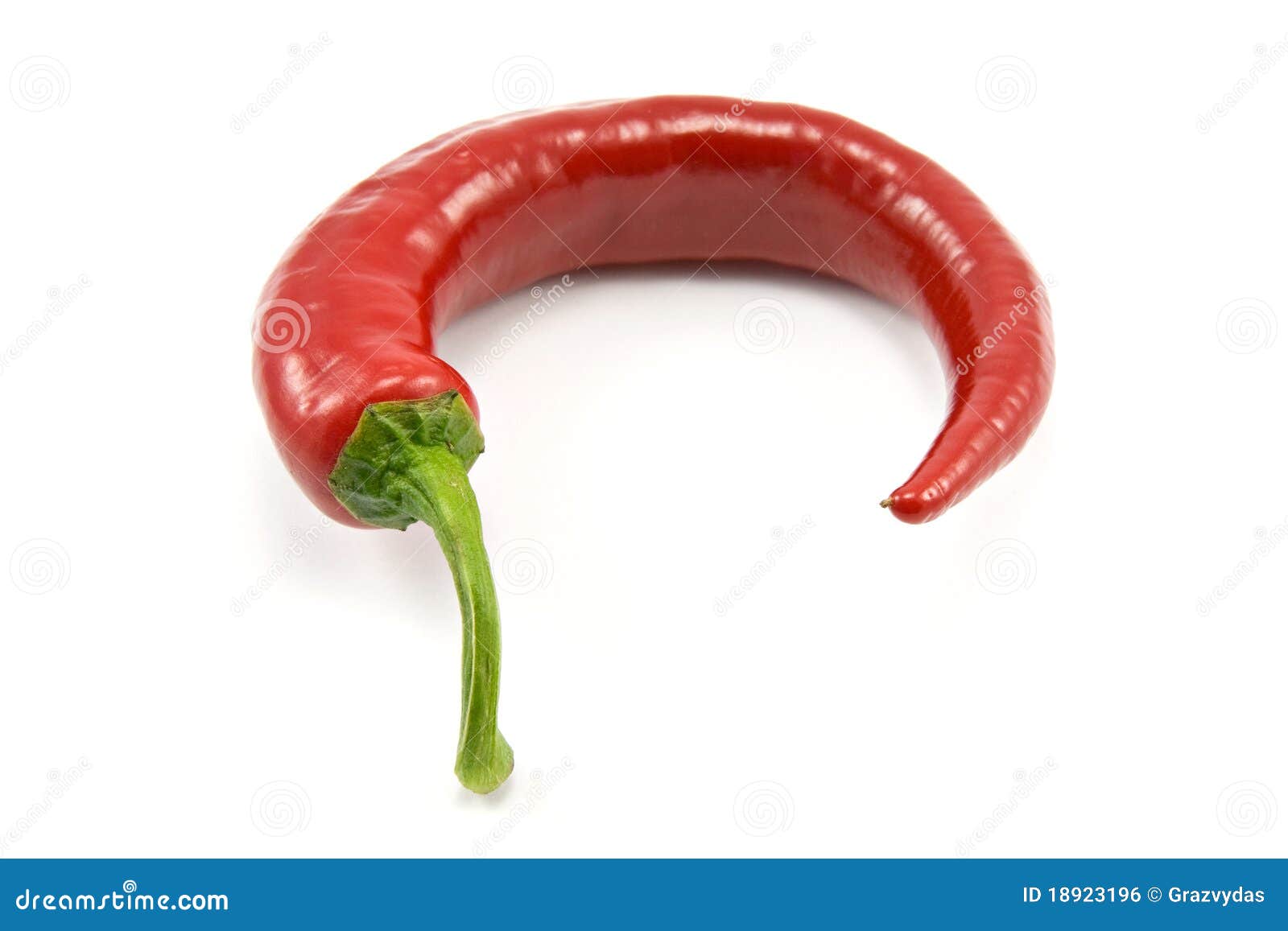 Single red chili pepper stock photo. Image of bell, food - 18923196