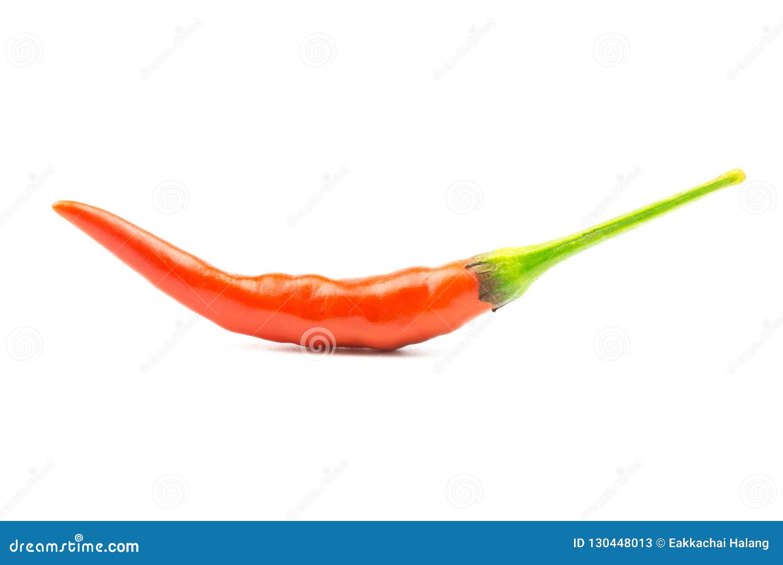 Single red chilli stock image. Image of plant, detail - 130448013