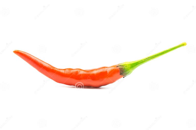 Single red chilli stock image. Image of plant, detail - 130448013