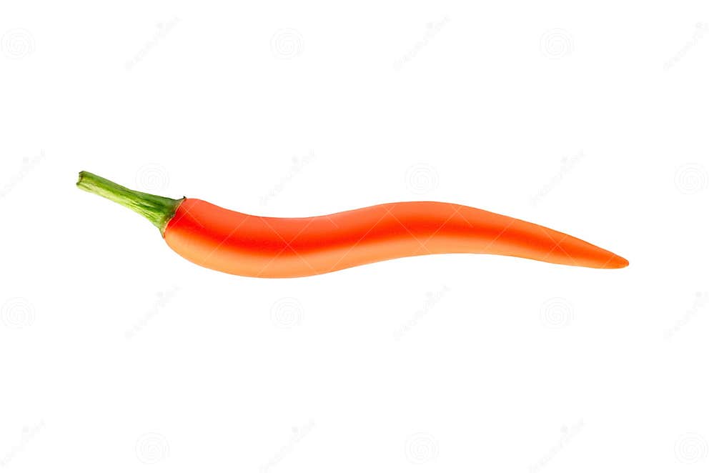 Single Red Chilli Pepper Isolated on White Background Stock Image ...