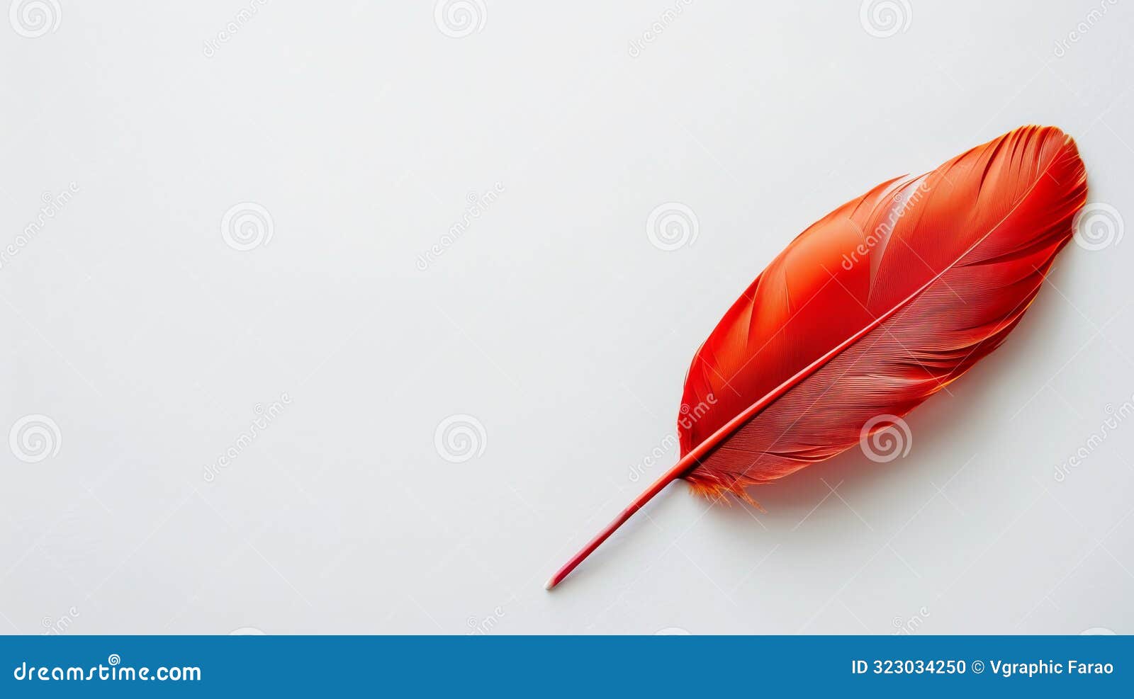 Single Red Feather on White Background, Minimalistic Design. Simplicity ...