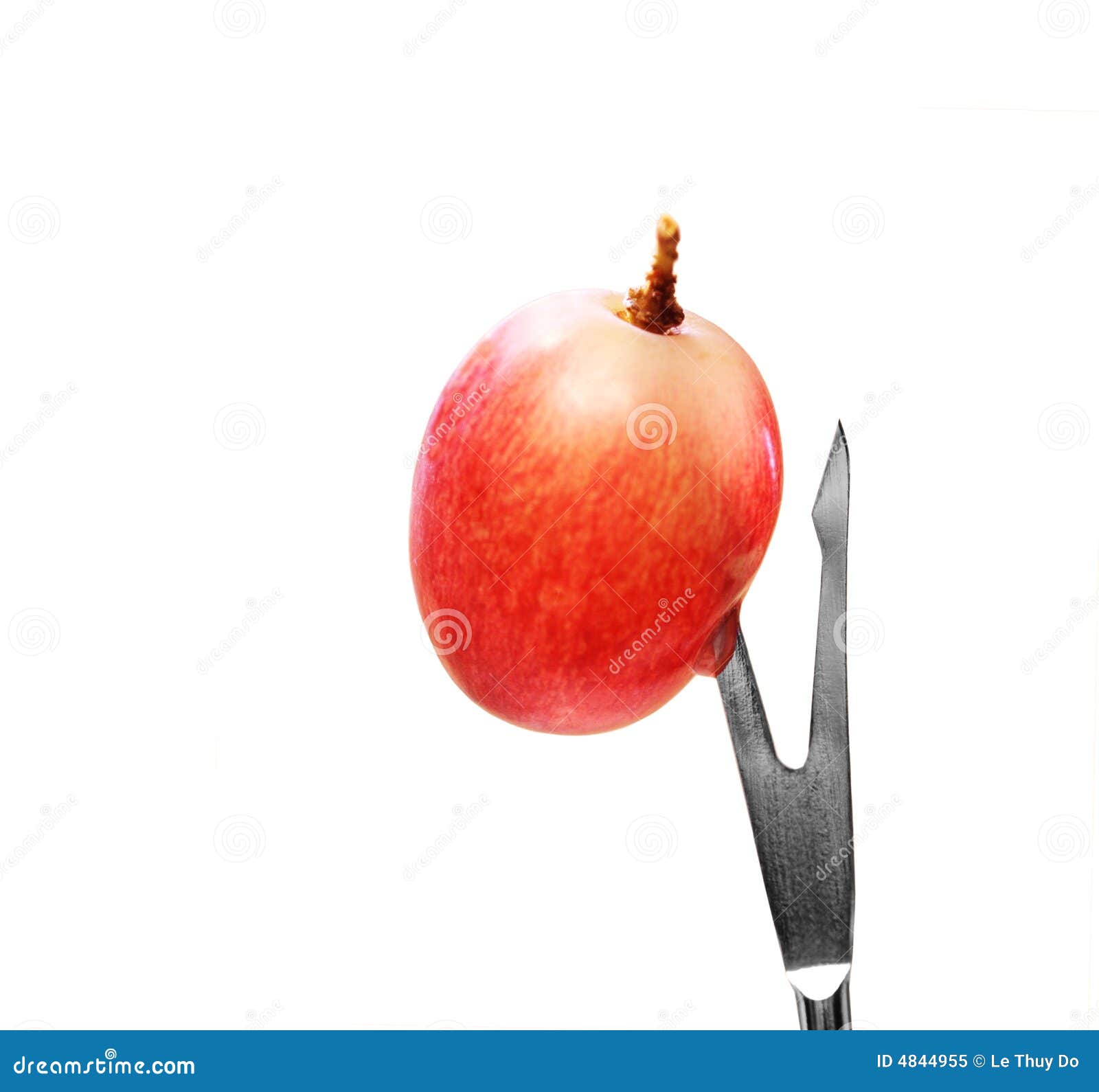 Single red grape stock image. Image of viticulture, grow - 4844955