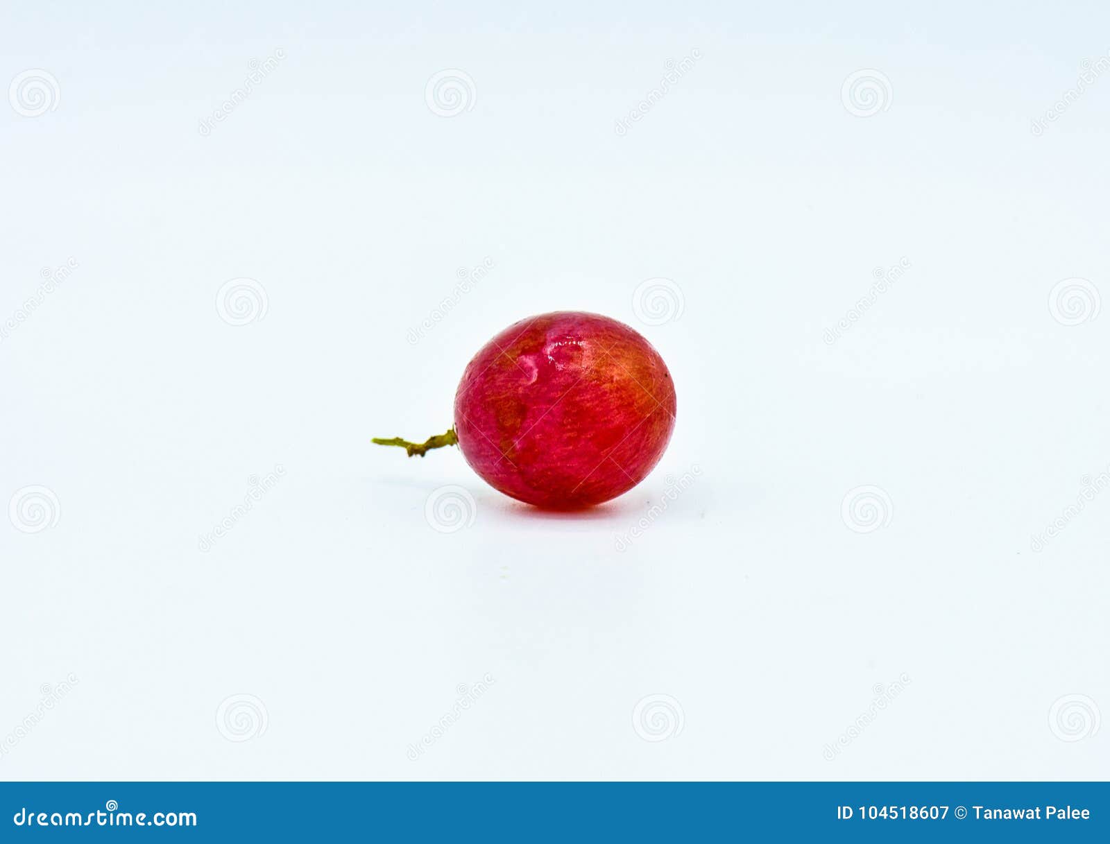 Single red grape stock image. Image of agriculture, apple - 104518607