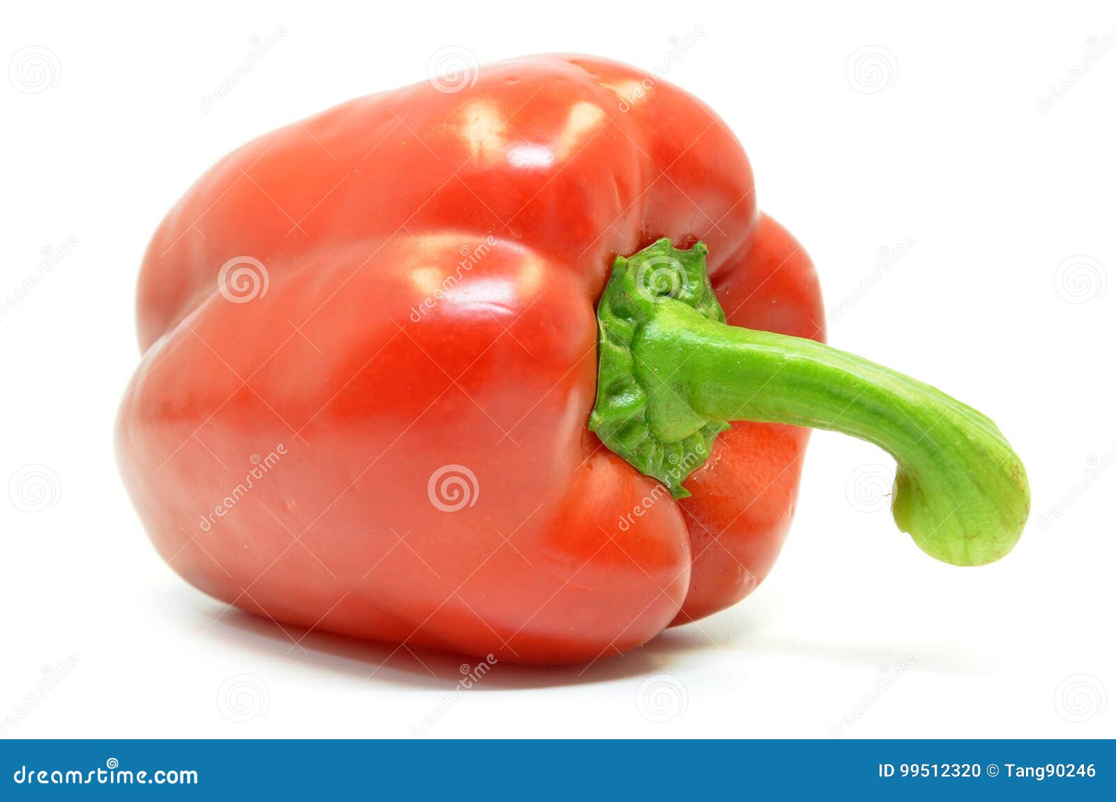 Single red pepper stock photo. Image of pepper, healthy - 99512320