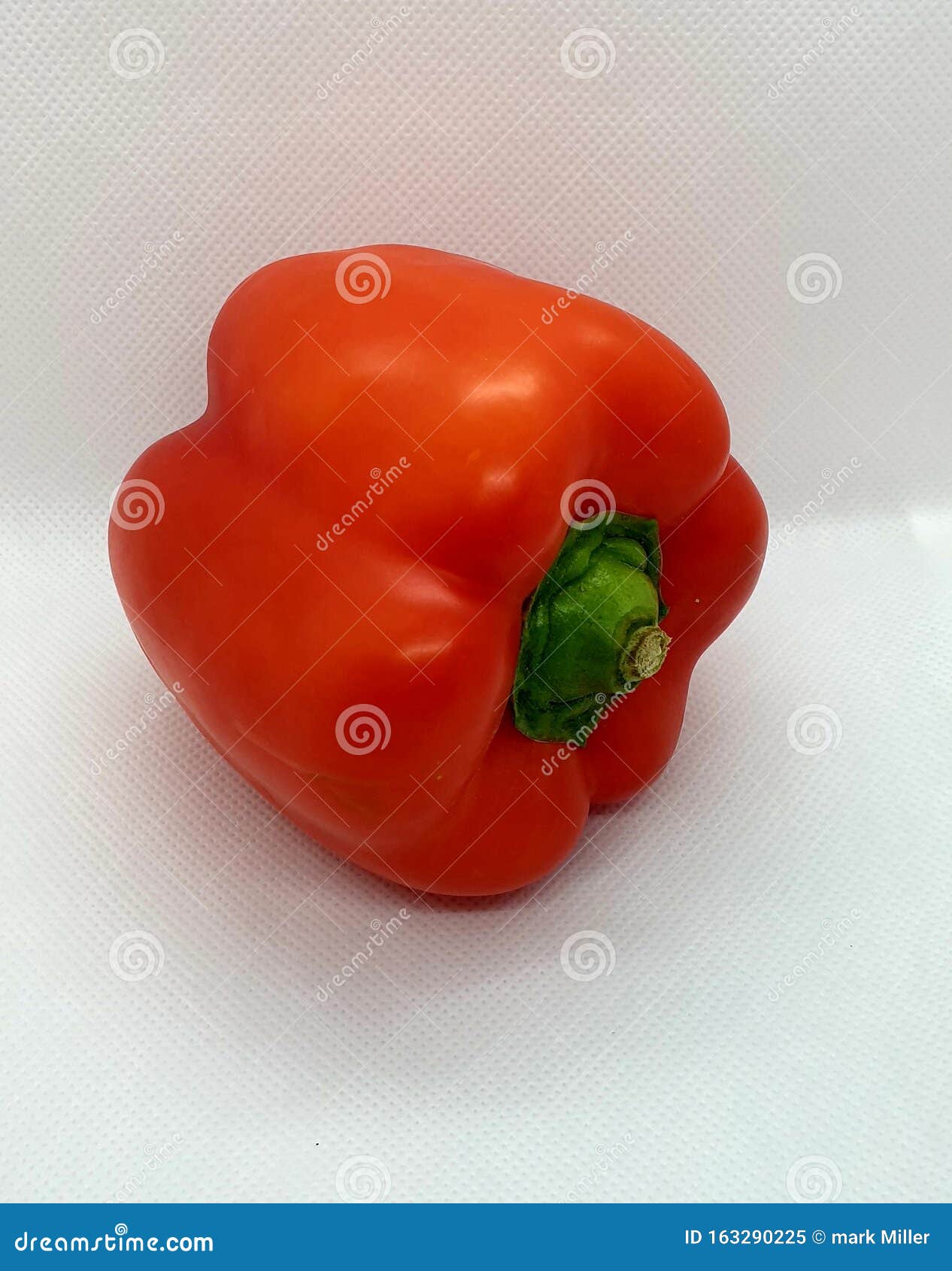 Single Red Pepper on White Background Stock Image - Image of white ...
