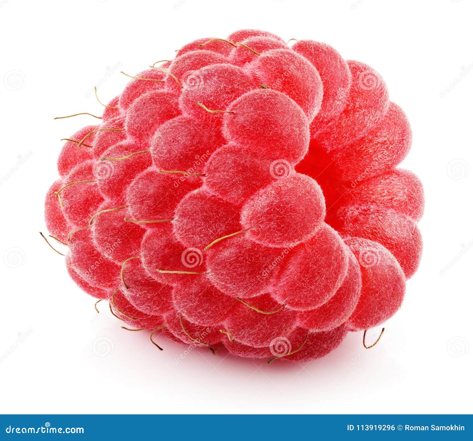 Single Raspberry