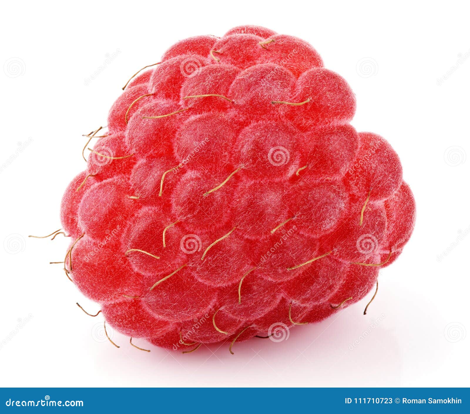 Single Red Raspberry Fruit on White Stock Image - Image of healthy ...