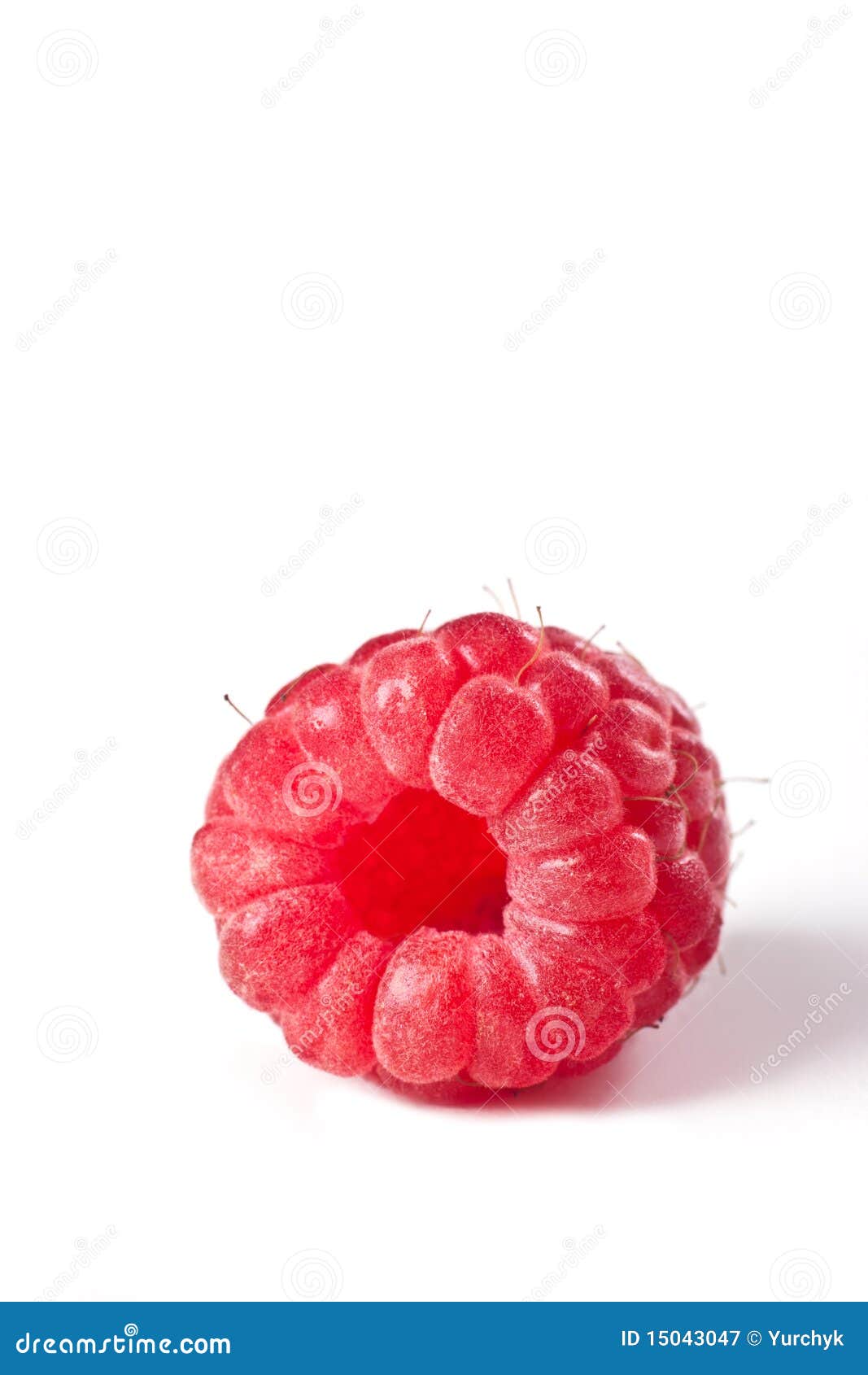 Single Red Raspberry Isolated Over White Stock Image - Image of fruity ...