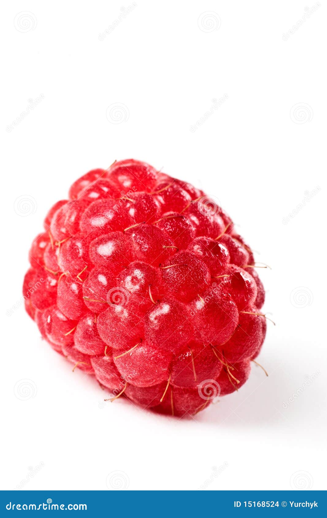 Single Red Raspberry Isolated Over White Stock Photo - Image of health ...