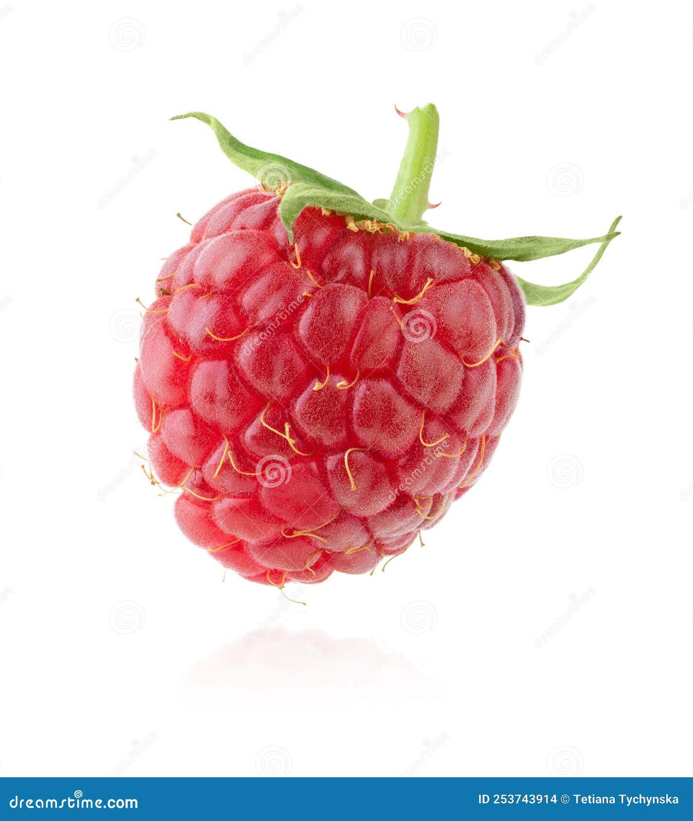 Single Red Raspberry Isolated on White Background. Stock Photo - Image ...