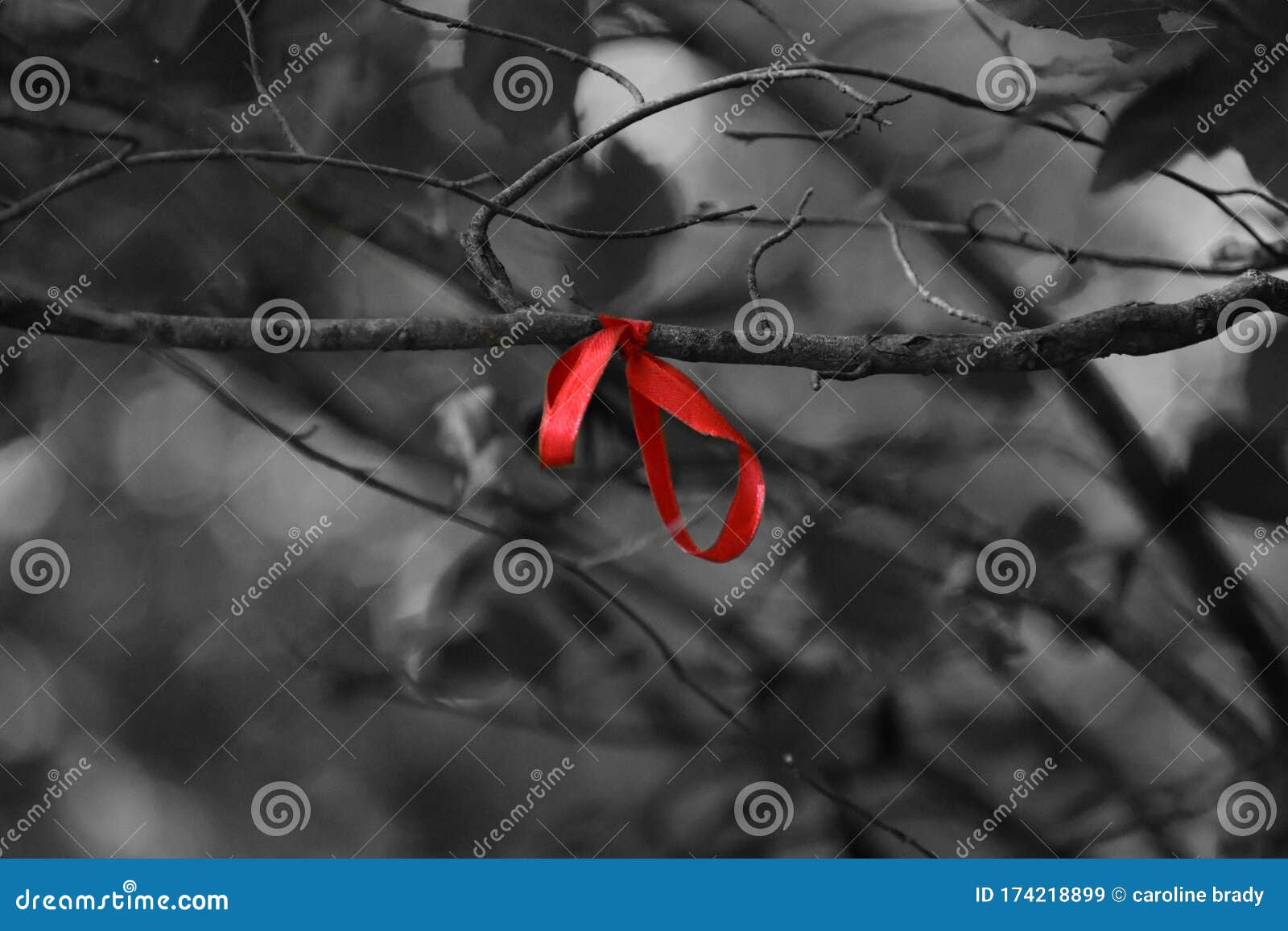 A single red ribbon stock image. Image of white, ribbon - 174218899
