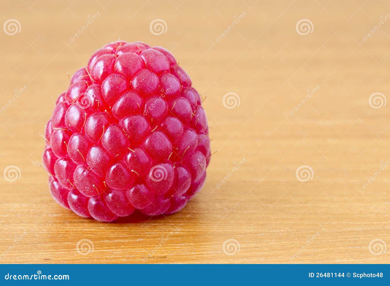 Single red ripe raspberry stock photo. Image of raspberry - 26481144